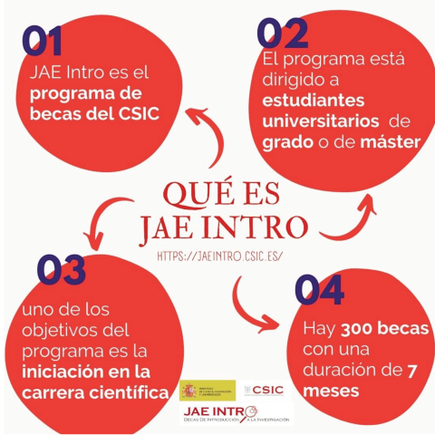 Convocadas las becas JAE Intro 2022 del CSIC | Facultad de Medicina